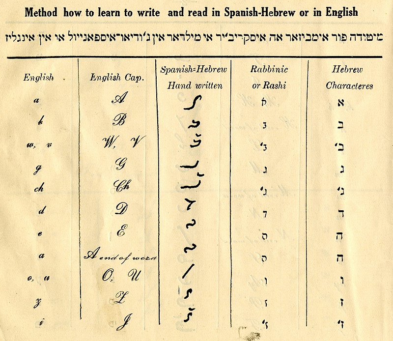 Jewish Studies Courses – Finkelperel Institute for Israeli and Jewish ...